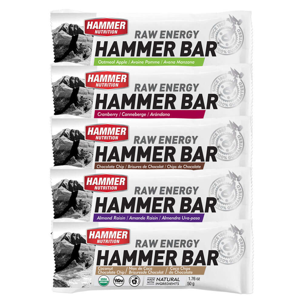 Raw Energy Bar Sampler Kit - Healthy Snacks by Hammer – Hammer ...
